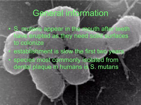 Streptococcus Mutans Cell Ppt