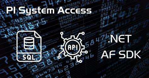 Pi System Access Raesemann Enterprises Inc