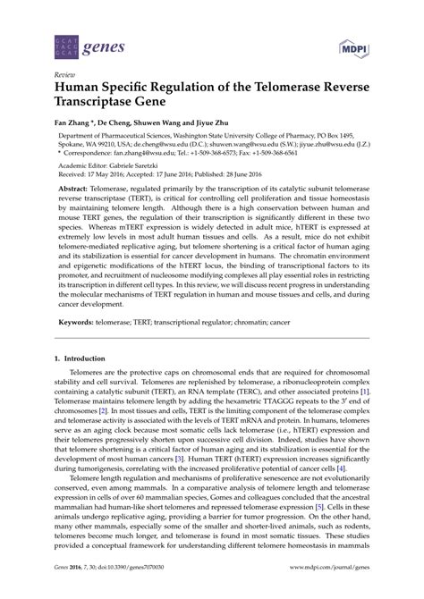 Pdf Human Specific Regulation Of The Telomerase Reverse Transcriptase Gene