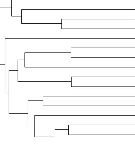Dendrogram For Hierarchical Clustering Of Dominant Species In Download Scientific Diagram