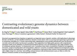 Welcome Yjx Github Io