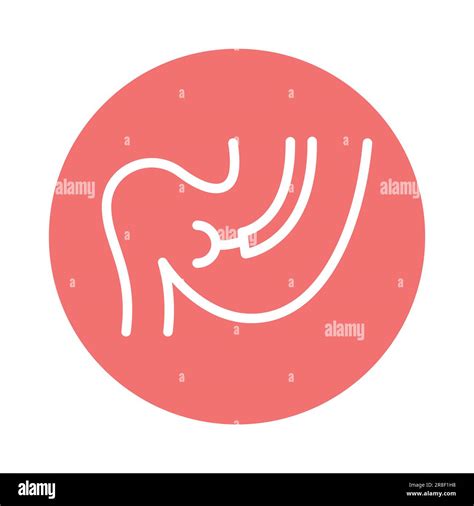 Stomach Biopsy Color Line Icon Isolated Vector Element Outline Pictogram For Web Page Mobile