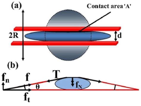 Diagrams Showing The Scheme Used For The Estimation Of The Compressive Download Scientific