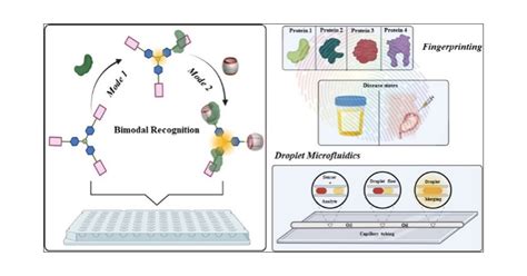 Bimodal Array Based Fluorescence Sensor And Microfluidic Technology For Protein Fingerprinting