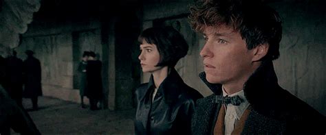 Tina Loves Newt Newtvsniffler Bonus Newt Tina Entering The