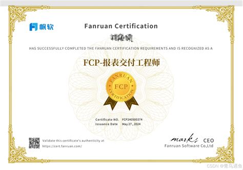 Fcp D 报表交付认证考试题 Csdn博客