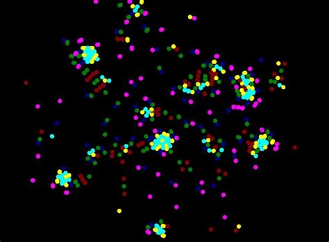 A Particle Simulation Of Life AMRIT AMAR