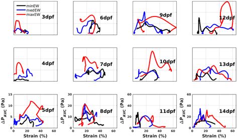 Pressure Drop Δpavc Vs Endocardial Wall Strain Plots From 3 Dpf To