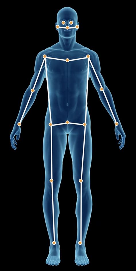 Vision Tutorial For Ios Detect Body And Hand Pose Kodeco The New