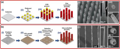 1d Zno Nanostructure Arrays By Cvd Method A Multi Stage Cvd For Download Scientific Diagram