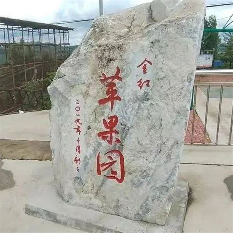 三代人的红果梦 种植 果树 宝山乡
