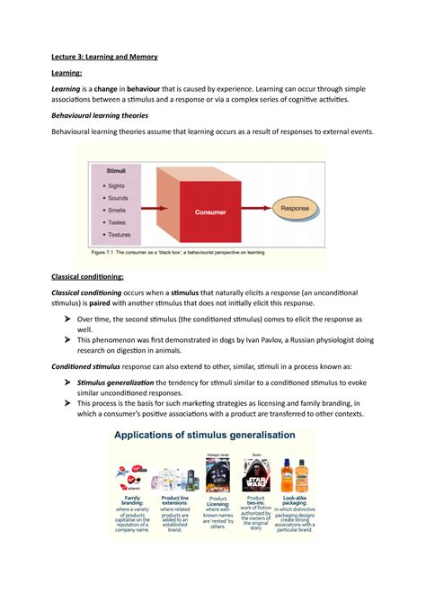 lecture 3 learning and memory lecture 3 learning and memory learning