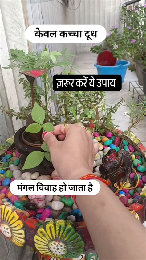 माता की बेटी अगर किसी का मांगलिक विवाह नहीं हो रहा है तो करें ये उपाय