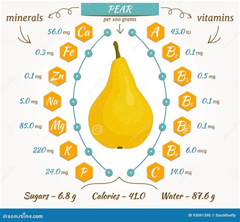 Vector Pear Infographics Stock Vector Illustration Of Infographics