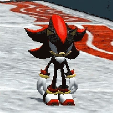 Shadow The Hedgehog Animated 
