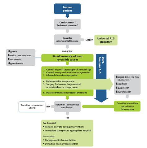 New Traumatic Cardiac Arrest Guideline Greater Sydney Area HEMS