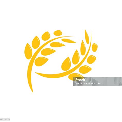 Wheat Agriculture Graphic Design Template Vector Illustration Stock