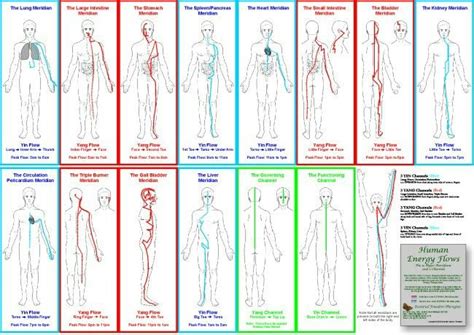 Body Meridian Chart Qi Flow Chart Chinese Meridian Chart Daoist