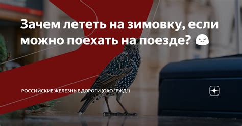 Зачем лететь на зимовку если можно поехать на поезде 😉 Российские железные дороги ОАО РЖД