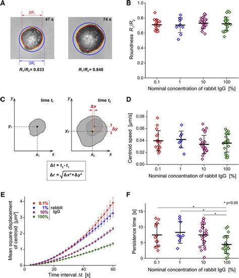 Roundness And Type Of Motion Of The Footprints Of Spreading Cells A