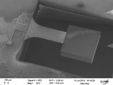 First MEMS Fabricated By Our Process Download Scientific Diagram