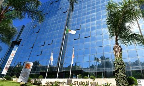 Une Importante Découverte Pétrolière Réalisée à Hassi Illatou à Adrar