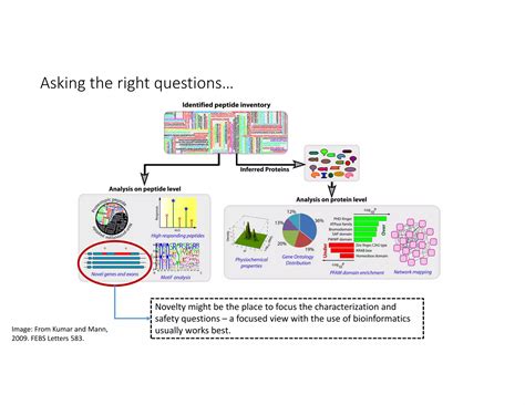Bioinformatics Building The Cornerstones Of Sequence Homology And Its Use For Biologics Oecd