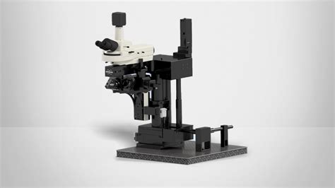 Multiphoton Microscopes Bruker