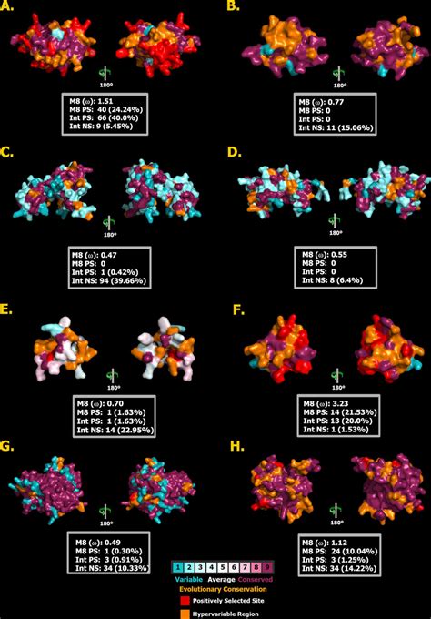 Molecular Evolution Of Lectin 3ftx Epididymal Secretory Protein A Download Scientific