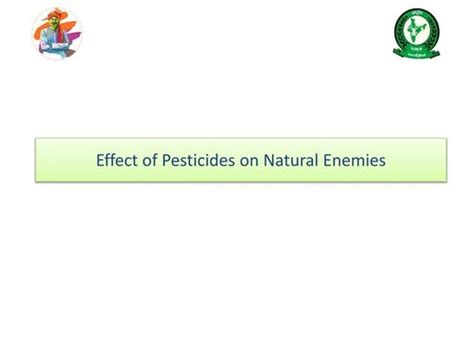 Different Sampling Techniques For Insect Population Estimation Pdf