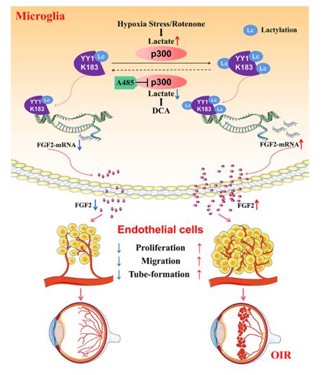 301 Moved Permanently