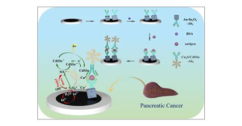 Double Amplified Electrochemiluminescence Immunoassay Sensor For Highly