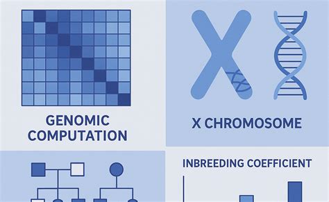 Skyla Revolutionizing Inbreeding Analysis Genomic And Pedigree Computation With X Chromosome 🧬