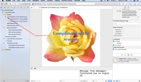 localization of ios app in swift 4 and xcode 9 by onyekachi ezeoke