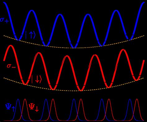 spin dependent lattice download scientific diagram