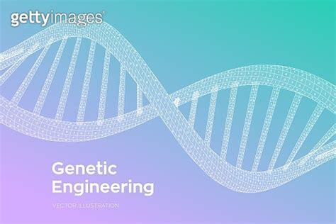 Dna Sequence Concept Binary Code Human Genome Wireframe Digital Dna Molecules Structure Mesh