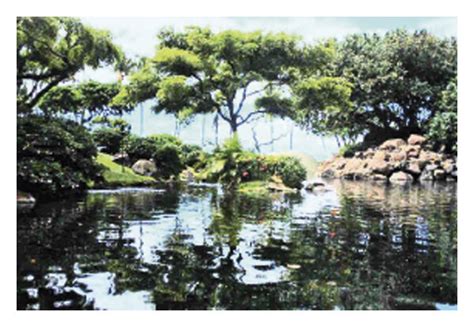 High Dynamic Range Scene A Original B Clahe C Agcwd D Ssla