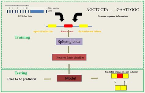 The Framework Of Rotation Forest Classifier To Predict Es Events With Download Scientific
