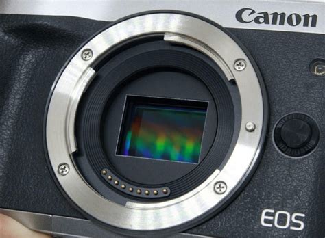 How To Check Canon EOS D Mark II Shutter Count A Simple Guide Jessica Withey Photography