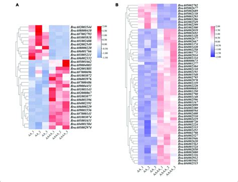 The Validation Of Rna Seq Data A Qrt Pcr Validation Of 15 Degs