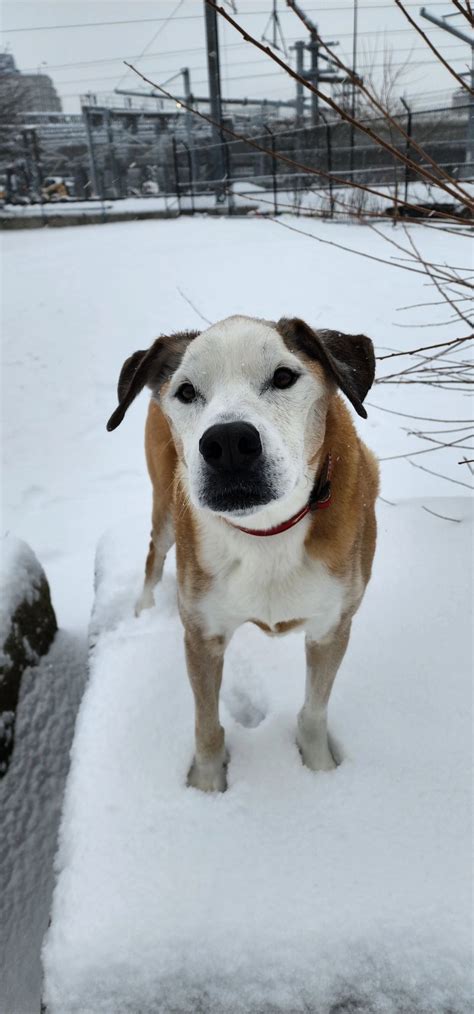 Join Us For Free Cybersecurity Summits Csnp Posted On The Topic Linkedin