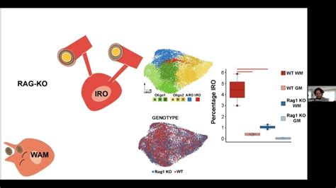 Sarah Marzi On Linkedin Single Cell And Spatial Transcriptomics