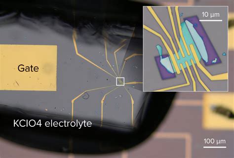 Transistor Reshapes Electronic Properties Of A 2d Material