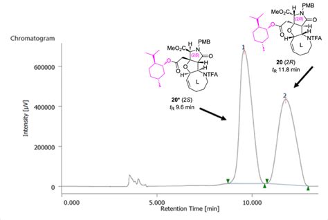 Chiral Hplc Profiles For The Separation Of Menthyl Ester Diastereomers Download Scientific