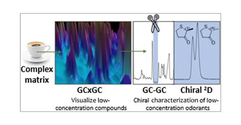 Multidimensional Gas Chromatography Of Organosulfur Compounds In Coffee… The British Society