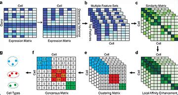 DSpliceType A Generalized Framework To Detect Differential Splicing And Differential