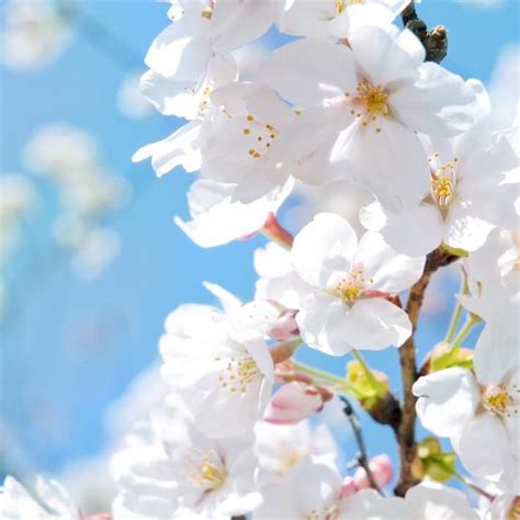 ХАЙРТАЙ ХӨӨРХӨН ОХИНДОО ТӨРСӨН ӨДРИЙН МЭНД ХҮРГЭЕ ️🤱 🌸Охиндоо зориулсан шүлэг 🧖‍♀️🦋 Хүй