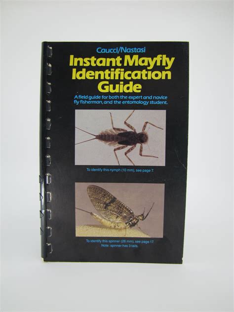 Instant Mayfly Identification Guide Supporting Freshwater Conservation Freshwater