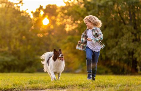 Cryptococcal Antigen Antech Diagnostics