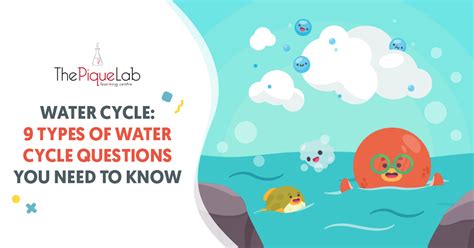 Water Cycle Types Of Water Cycle Questions You Need To Know Primary Babe Science Tuition